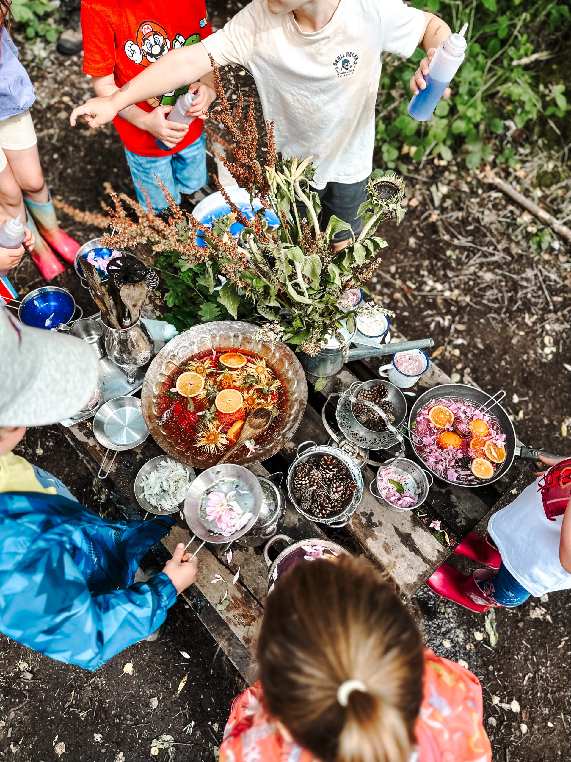 Everwild Nature Club - Penllergare Valley Woods