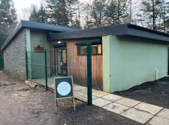 Rewilding Penllergare - Penllergare Valley Woods