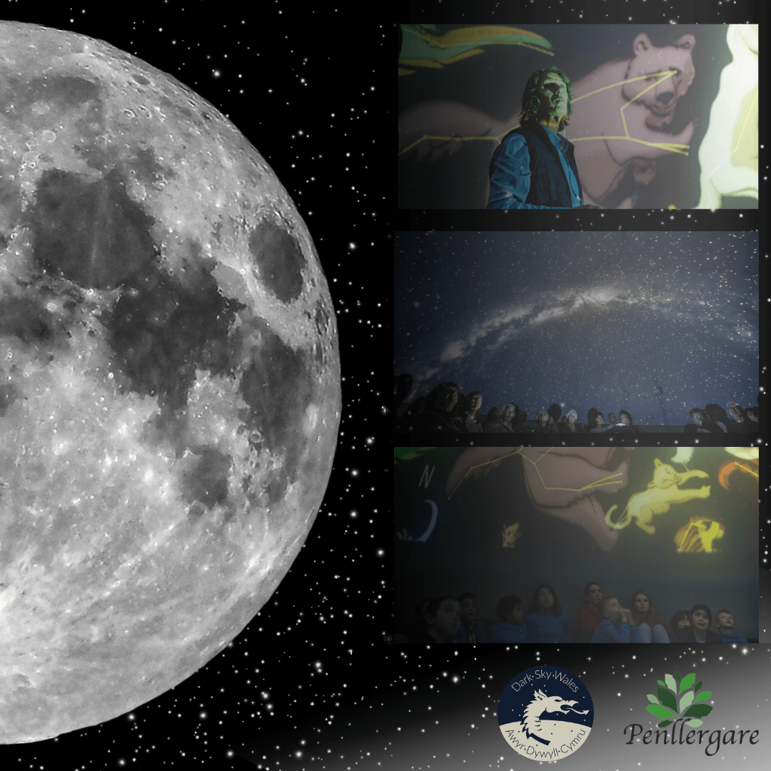 Looking to the Moon and Stars - Penllergare Valley Woods