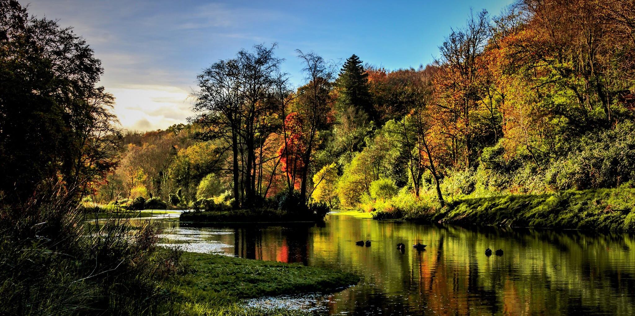 Visit Us - Penllergare Valley Woods
